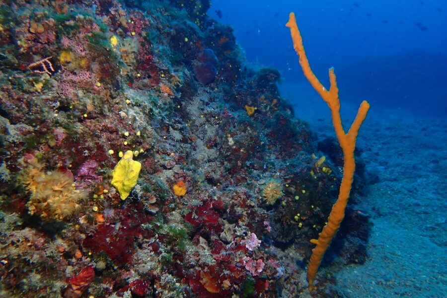 NATURA-JADERA dodjeljuje Ugovor o skrbi o područjima ekološke mreže ...